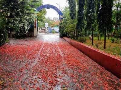 Top Schools in Wakad, Pune 2026-27: Fees, Admissions, Rankings & Reviews